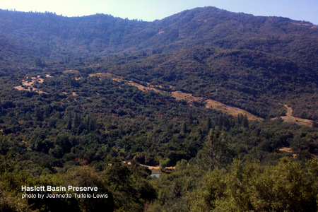Haslett Basin Wildlife Preserve | Sierra Foothill Conservancy