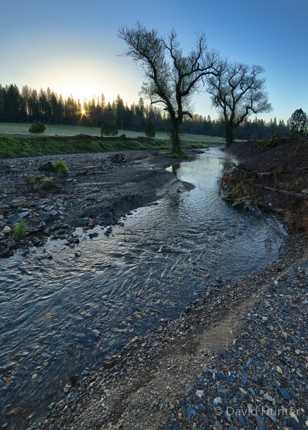 Photo Gallery | Sierra Foothill Conservancy
