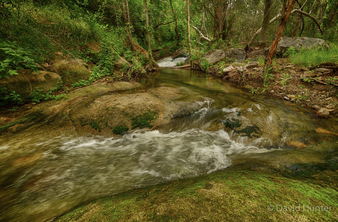 Photo Gallery | Sierra Foothill Conservancy