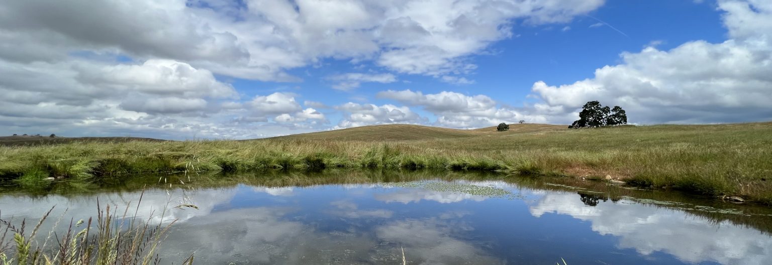 Sierra Foothill Conservancy | Saving Natural Lands Now and Forever