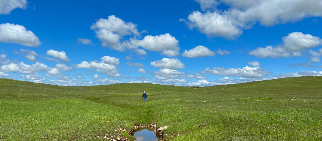 Sierra Foothill Conservancy | Saving Natural Lands Now and Forever