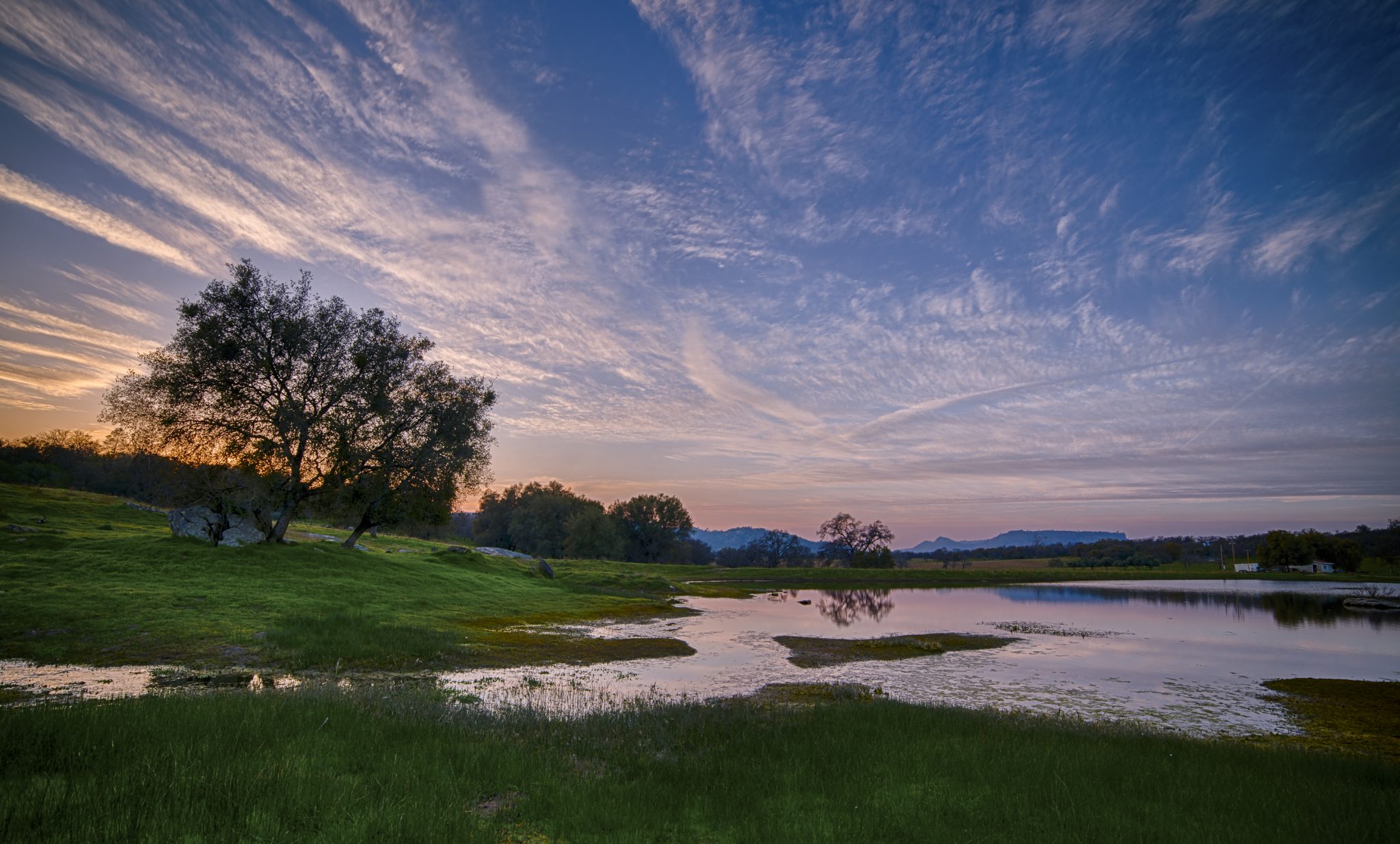 Sierra Foothill Conservancy | Saving Natural Lands Now and Forever