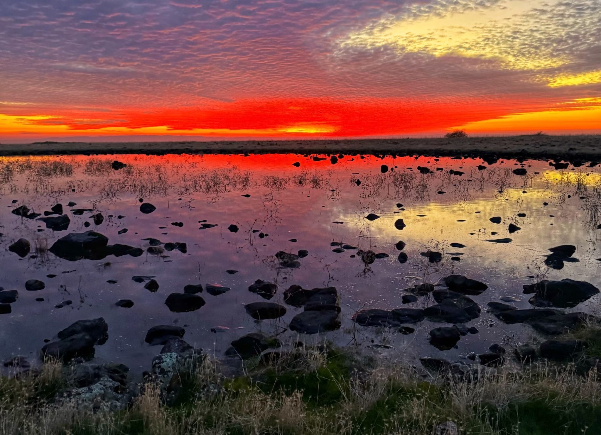 Sierra Foothill Conservancy | Saving Natural Lands Now and Forever